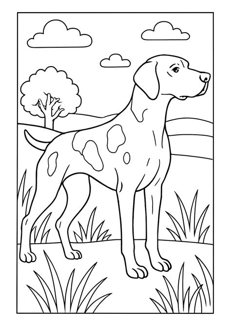 Coloriage Chein Pointer Imprimer Gratuit Pdf Coloriage Chien Gratuit