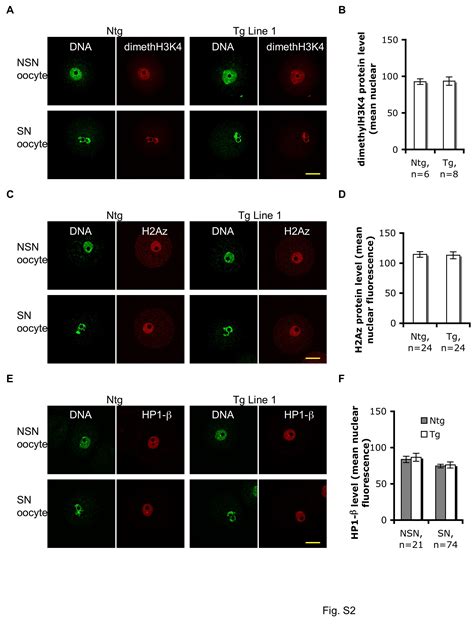 Maternal Depletion Of Ctcf Reveals Multiple Functions During Oocyte And