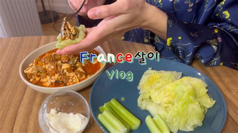 🇫🇷프랑스에서 살아남기 이틀치 영상에 음식종류가 왜 이렇게 많 잘먹고 잘사는 일상 오므라이스 오이토스트 참치짜글이 잔치국수 또띠아롤 김치삼겹 오꼬노미야끼