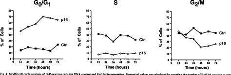 Figure 4 From Design Of A Novel Bicistronic Expression Vector With