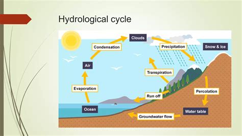 Global Hydrological Cycle Pptx