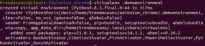 How To Install And Setup Selenium With Google Chrome On Ubuntu TREND OCEANS