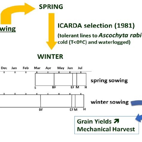 Advantages Of Autumn Winter Sowing Compared To Spring Sowing S Sowing Download Scientific