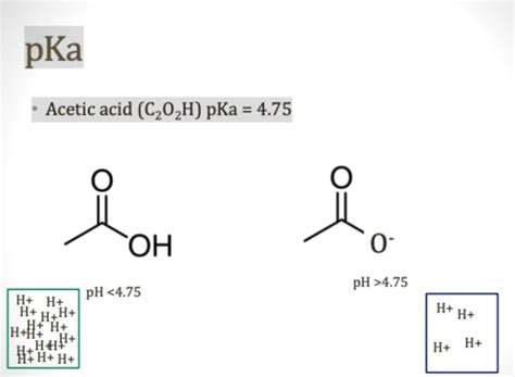 Pka Values Ochem Flashcards Quizlet
