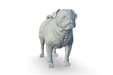 Pug Model Turbosquid 2217281