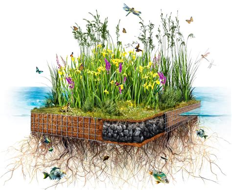 Floating Wetlands For More Biodiversity