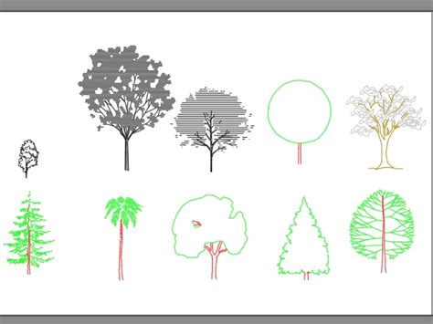Autocad Tree Drawings