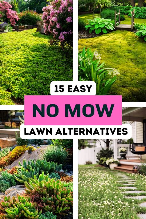 15 Easy No Mow Lawn Alternatives Replace Your Grass With Ground