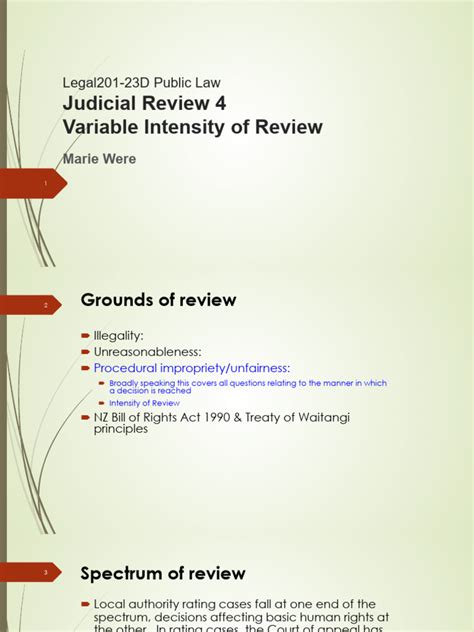 4 mw lect4 intensity of review pdf administrative law standard of