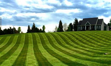 Big League Lawns Llc Lawn Striper Lawn Striping Kit Yard Roller