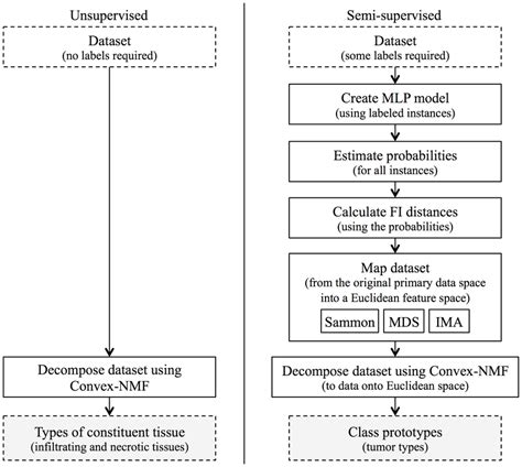 General Representation Of The Analytical Approaches Investigated In Download Scientific Diagram