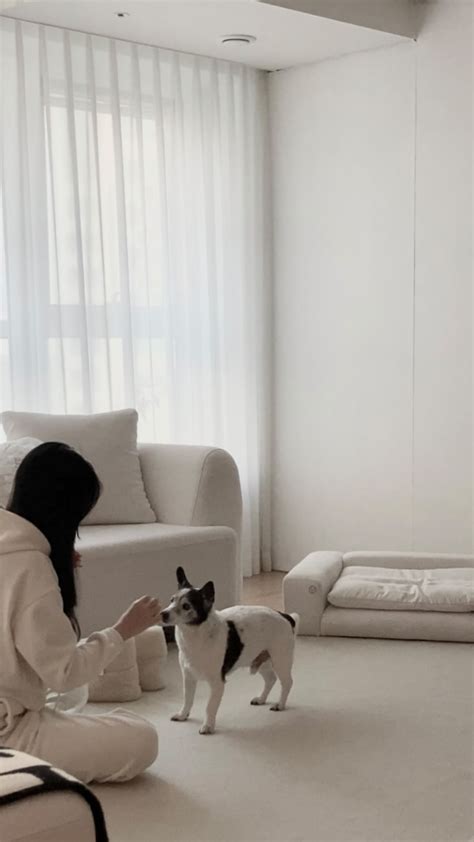 Honeymoon House 일요일 홈카페 홈캉스 홈스토랑 비오는 일요일☔️ 잘 보내고 계신가요 오늘은 어느각도에서 봐도 예쁜 마네모네와 함께 브런치타임을