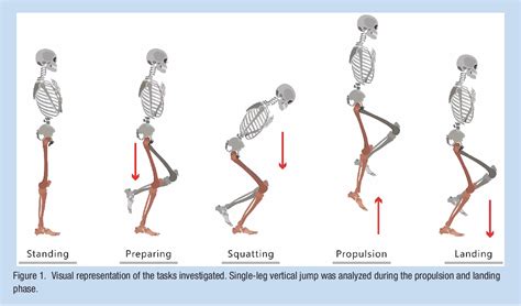 Figure 1 From Can Symmetry Of Single Leg Vertical Jump Height Represent