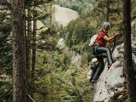 Mountain Seed Foundation Msf Downloads