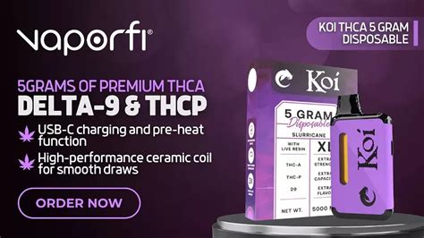 6 Best Thcp Vape Pens Of 2025 For Newbie And Seasoned Vapers