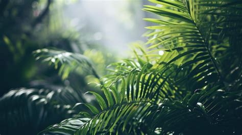 Premium Ai Image Vibrant Green Forest With Abundant Leaves