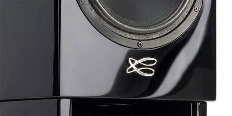 Cabasse Bora Noir Enceintes Bibliothèques Sur Easylounge