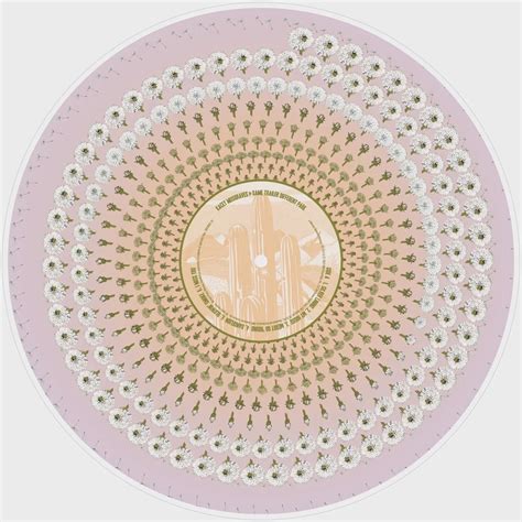Traveller Chris Stapleton Vinyl Lp And Cd — Vertigo Vinyl