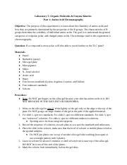 Bio Lab 5 Report Docx Laboratory 5 Organic Molecules Enzyme Kinetics Amino Acid