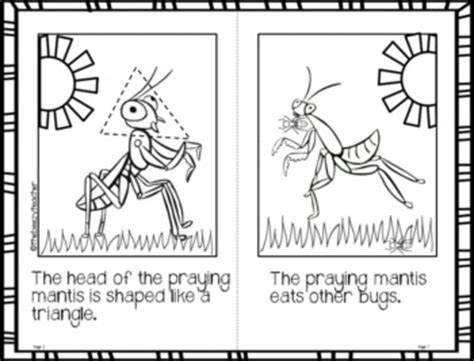 Praying Mantis Fact Booklet Nonfiction Comprehension Craft