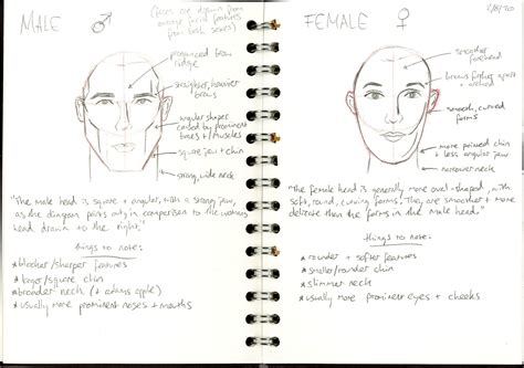 Soft Features Male