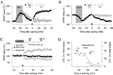Neuromodulators Prime” The Induction Of Associative Plasticity