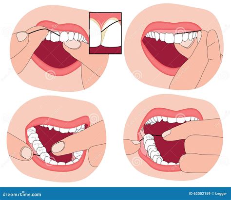 How To Floss Your Teeth Cartoon Vector 62002159