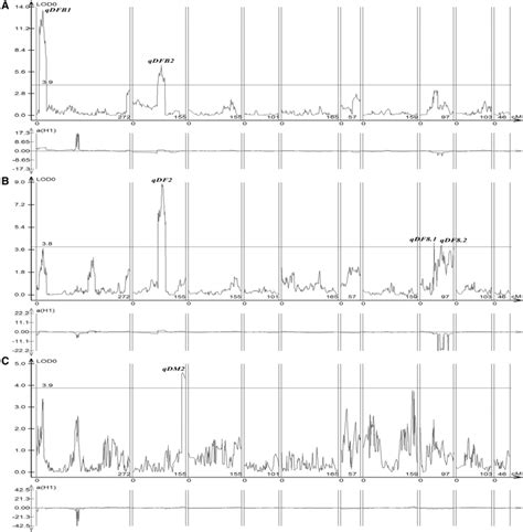 Quantitative Trait Loci Qtl Associated With Three Flowering Related Download Scientific