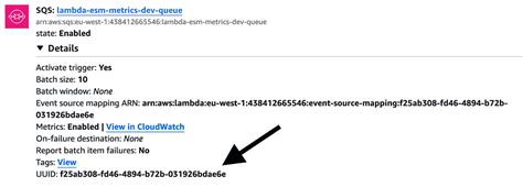 New Lambda Esm Has New Metrics To Give You Deeper Insights