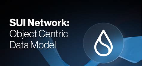 Exploring Suis Object Centric Model