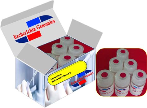 DNA Isolation Kit Saliva At Set IP Extention New Delhi ID