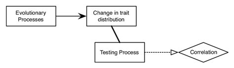 A Schematic Representation Of The Evolutionary Case We Need Empirical