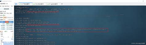 【ssl】ssl证书简介、ssl证书生成工具与ssl证书生成步骤 Csdn博客