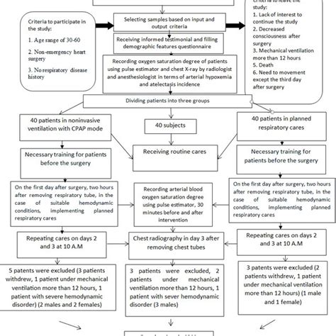 Flow Chart Design Plan Download Scientific Diagram