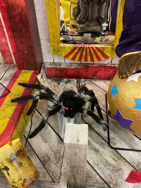 Spirit Halloween 2024 Black Jumping Spider Animatronic Youtube