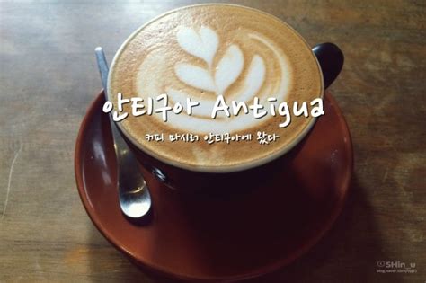 과테말라 안티구아 커피 마시러 안티구아에 왔다 네이버 블로그