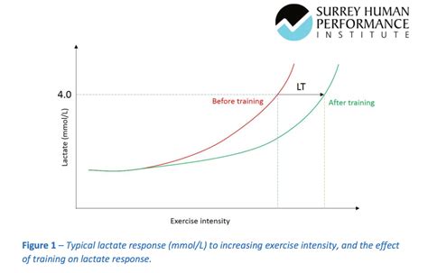 Strava Stats Science4performance