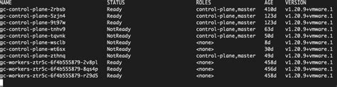 Vsphere With Tanzu Using Nsx T Safely Virtual Graveyard