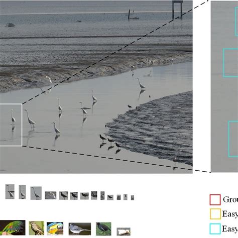 Examples 1 12 Images From Pascal Voc Left Upper 2 One Littoral