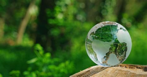 What Is The Omnibus Simplification Package And What To Expect