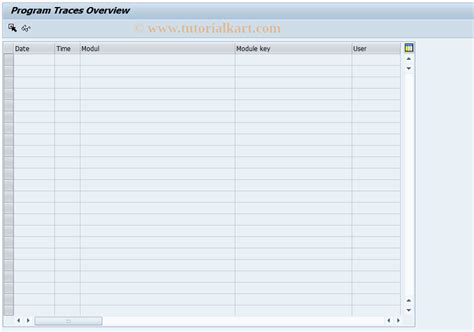 fptrace sap tcode display log