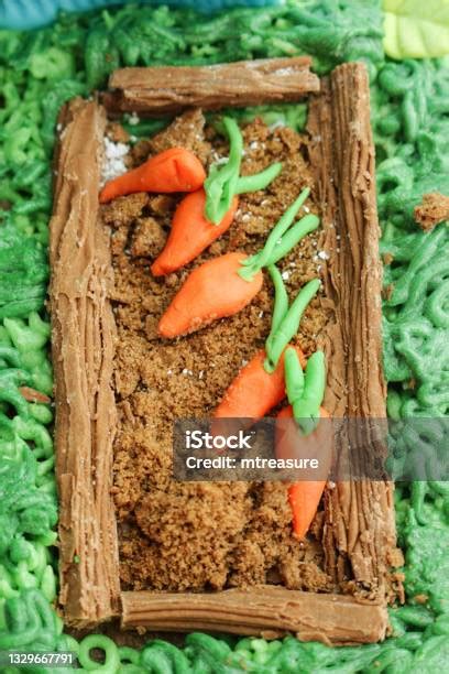 코티지와 정원으로 디자인 된 수제 케이크의 풀 프레임 이미지 버터 아이싱 잔디 비스킷 부스러기 토양의 야채 침대를 제기 초콜릿 플레이크 퐁당 착빙 당근 세부 사항 높은 전망