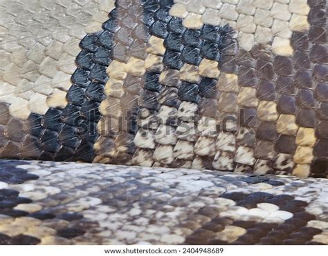 Python Logo Hd Photos Images And Pictures Shutterstock