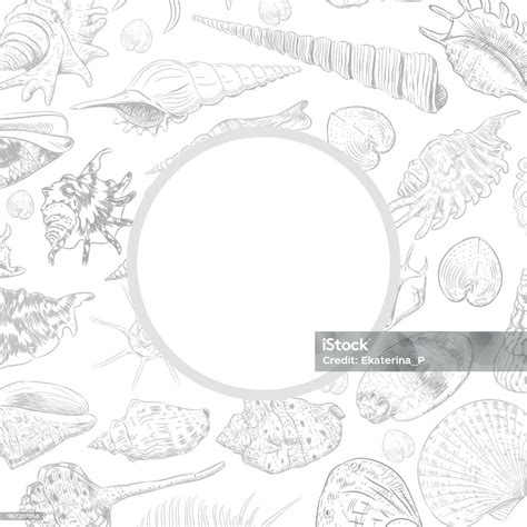 여름 바다 포탄 희귀 멸종 위기 종 흰색 바탕에 회색 연체 윤곽선의 독특한 박물관 컬렉션 개념 텍스트에 대 한 공간을 가진 원형 화 환 카드 배너 디자인 벡터 개념에 대한