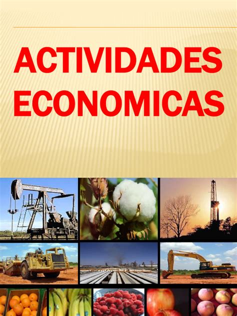 Actividades Economicas Pdf Agricultura Industria De Alimentos