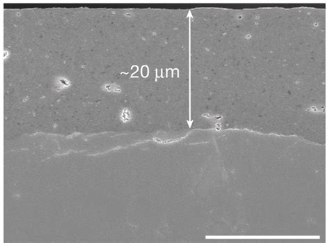 Healable Sulfur Cathode For Solid State Li S Batteries Materials Virtual Lab