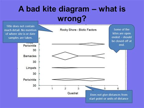 favorite info about how to draw a kite diagram significancewall