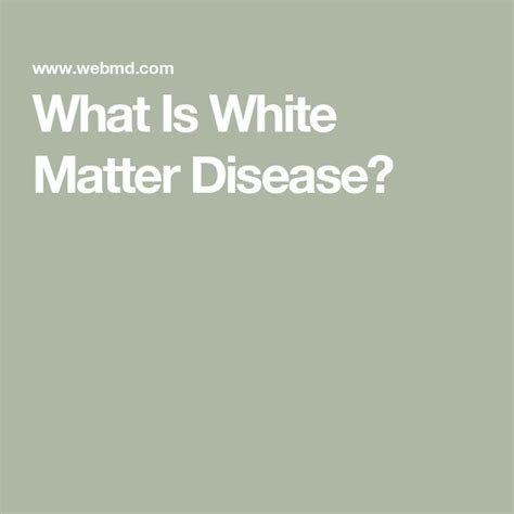 What Is White Matter Disease White Matter Disease White Matter In