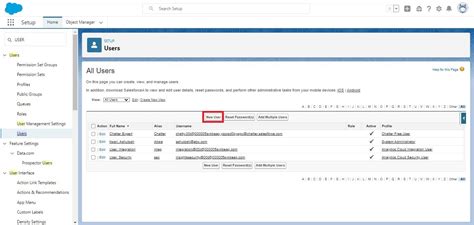 How To Create New Users In Salesforce Quantoknack Training