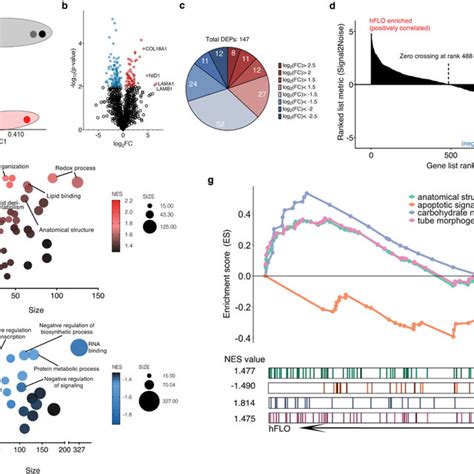 Shotgun Proteomics A Principal Component Analysis Plot Of The First
